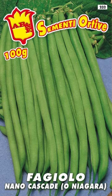Sementi Bruni | FAGIOLO NANO VERDE Niagara o Cascade